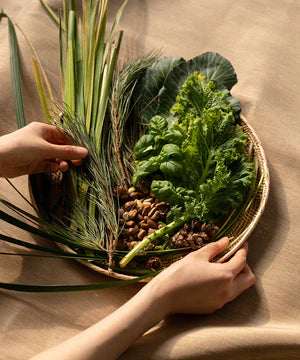 Vegan Airfit Sunscreen | Melixir – Laboratory K